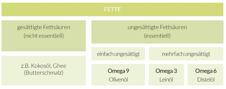 Gesunde Fette - fast jeder macht hier gravierende Fehler – Deine Ernährung